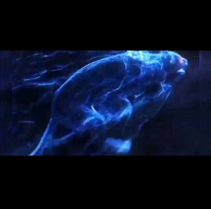 My frist gig video animation by Brollyx | Fiverr