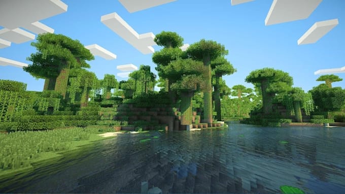 Setup a basic minecraft server for you by Totoacee_ | Fiverr