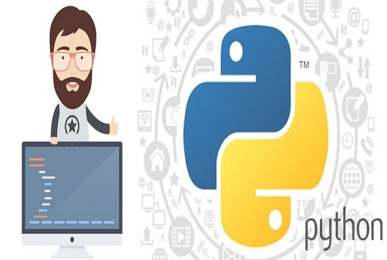 Solve your python projects and assignments by Pythonlords | Fiverr