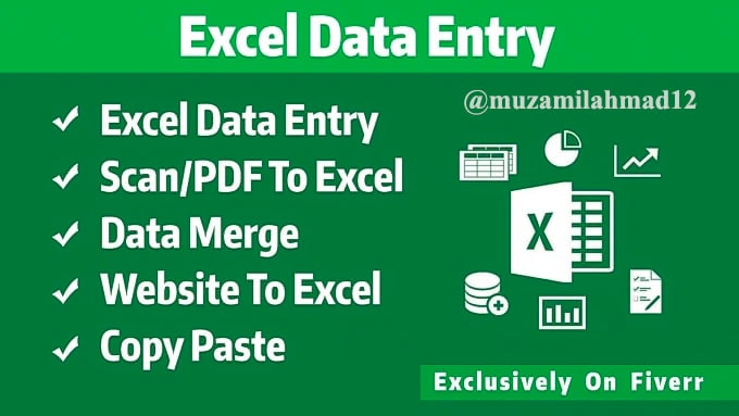 Complete any excel data entry project by Muzamilahmad12 | Fiverr