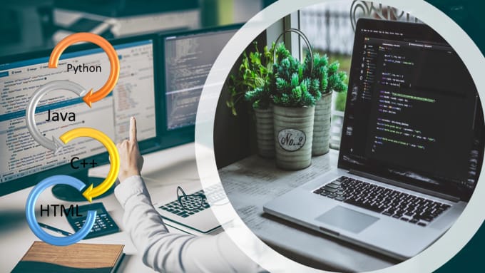 Do Python Java Cpp Sql Database Csharp Html Css Programming Tasks By Hamzabhatti101 Fiverr