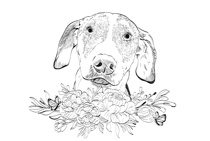 Create detail hand drawn line art illustration for anything by Omalya ...