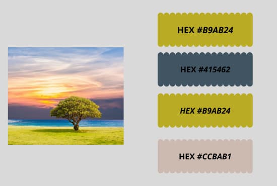 Create a color scheme or color palette for company, brand, logo by ...