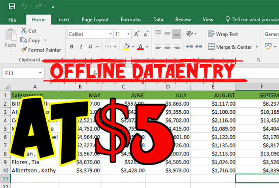 Ms excel data entry offline by Sayyamsingh | Fiverr
