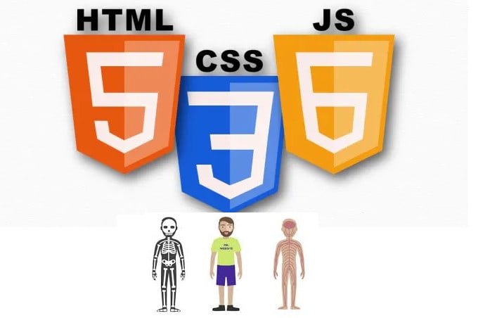 Create responsive html css javascript website by Hanzalah94 | Fiverr