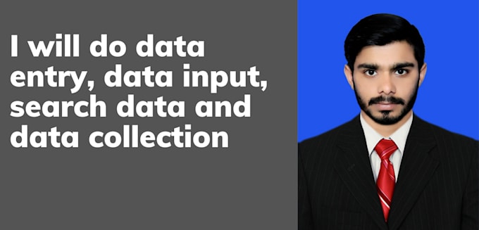Data entry, data input, data collection, by Afzaal725337 | Fiverr