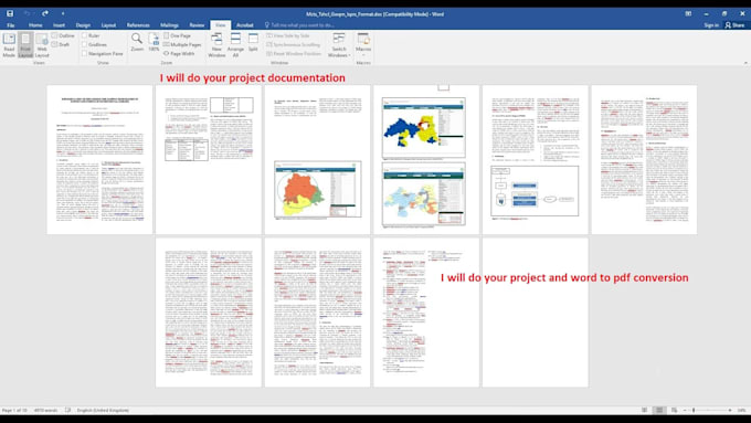 Do ms word documentation and pdf conversion by Saniaali831 | Fiverr