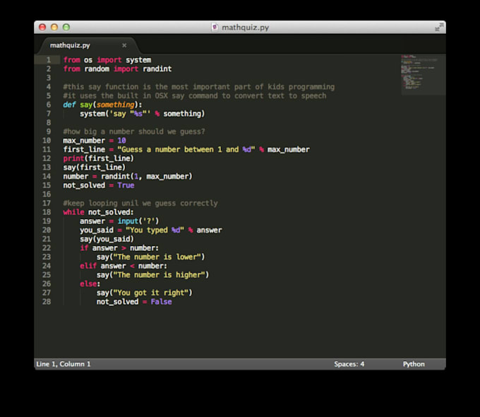 Do your python programming jobs and assignments by Somint | Fiverr
