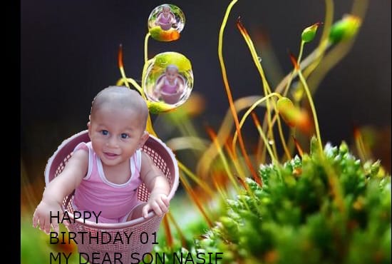 Create 2d and 3d plan and photos animation by Naleem32 | Fiverr