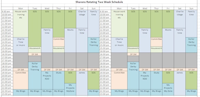 Give you an amazing life planning spreadsheet set by Cdainmiller | Fiverr