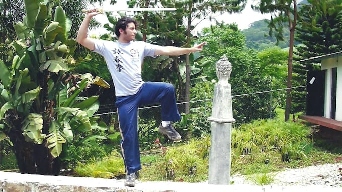 Help you find your fighting style by Godzillarex | Fiverr