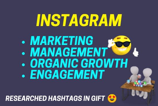 Professionally Do Instagram Marketing Manage And Promote Organic