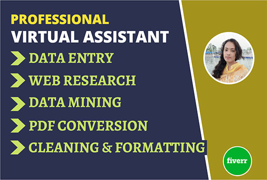 Be virtual assistant for data entry, web research, scraping by Pro_expert_24 | Fiverr