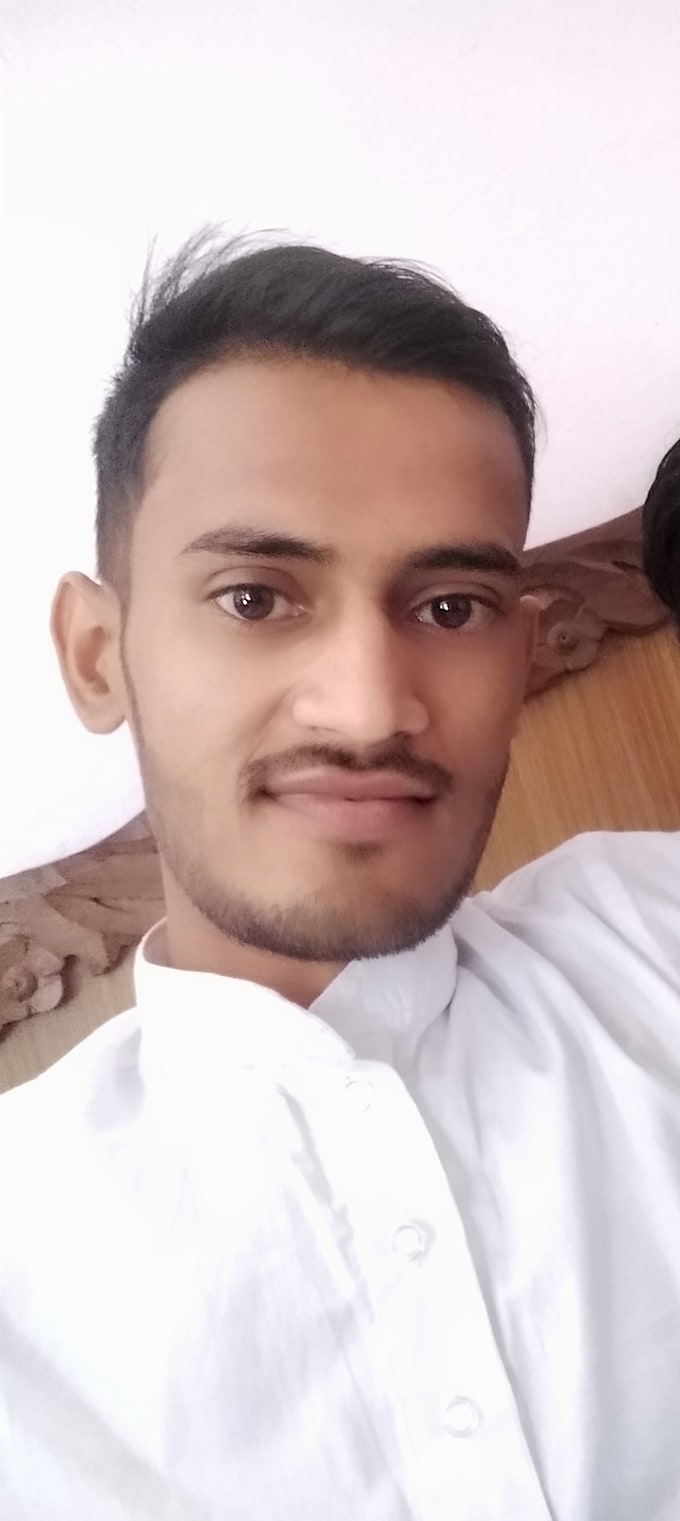 Do data entry by using mx excel by Zainabdulshaikh | Fiverr