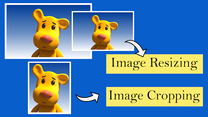 Resizing, cropping and renaming images by Subhajithald968 | Fiverr
