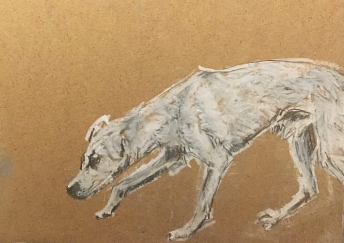 Draw animals however you need them drawn by Anatomyoftheliv | Fiverr