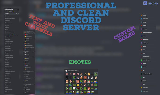 Setup a professional discord server that meets your needs by Cptglenn ...