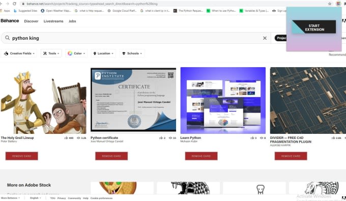 Create custom browser extensions by Elmahmady20 | Fiverr