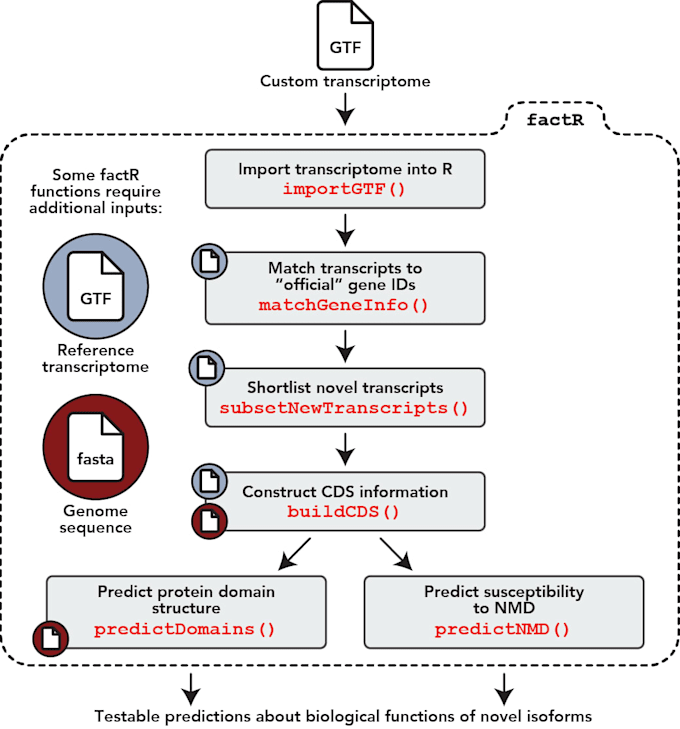 Develop an r package by Docfurshh | Fiverr
