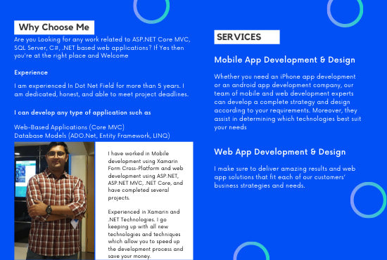 Develop And Fix Issues In Asp Net Mvc And Net Core Web And Api By