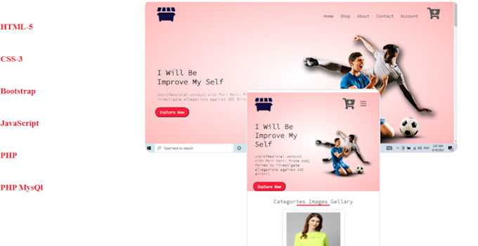Professional full stack web developer html,css,php,bootstrap,js ...