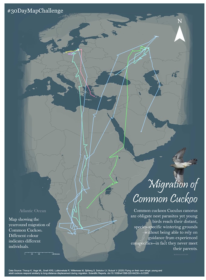 Create visually stunning maps for your works by Debanjan_sarkar | Fiverr