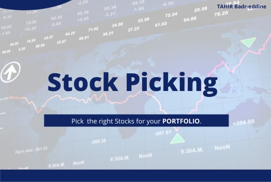 Pick the right stocks for your portfolio by Tahirbadreddine | Fiverr