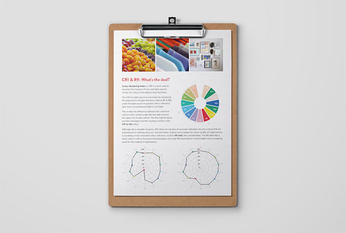 Create a professional informative document by Madeleinesarah | Fiverr