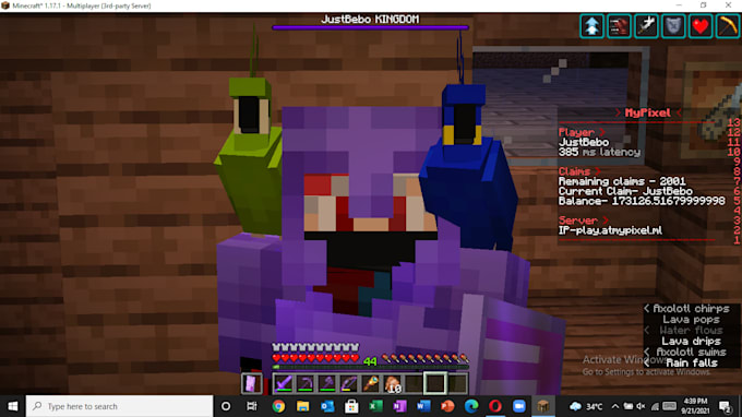 Create a professional minecraft server for you by Wasimsha45435 | Fiverr