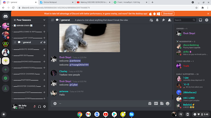 Make you an amazing looking discord server by Mrseftyyt | Fiverr