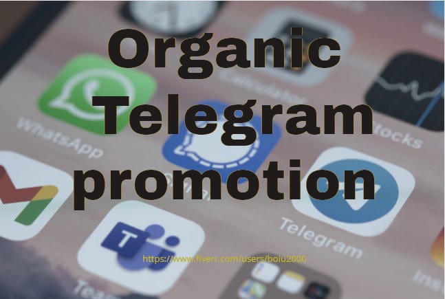 Do perfect telegram promotion telegram marketing by Bolu2000 | Fiverr