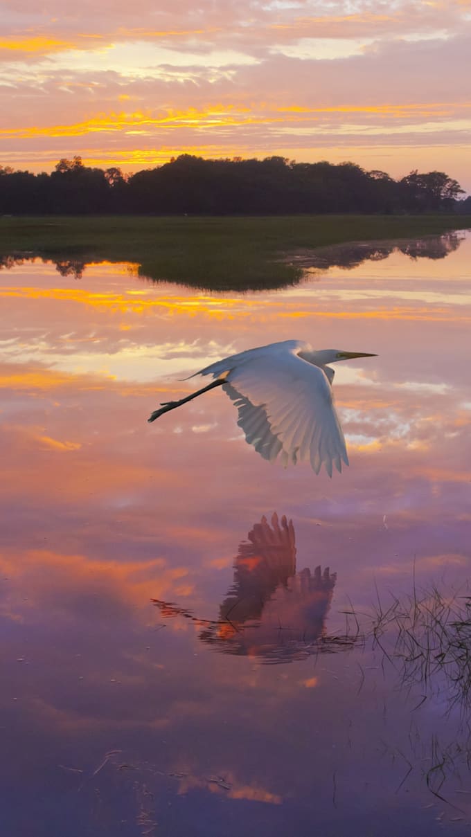 Jjjh jvhk bl knl by Tejas_mp | Fiverr