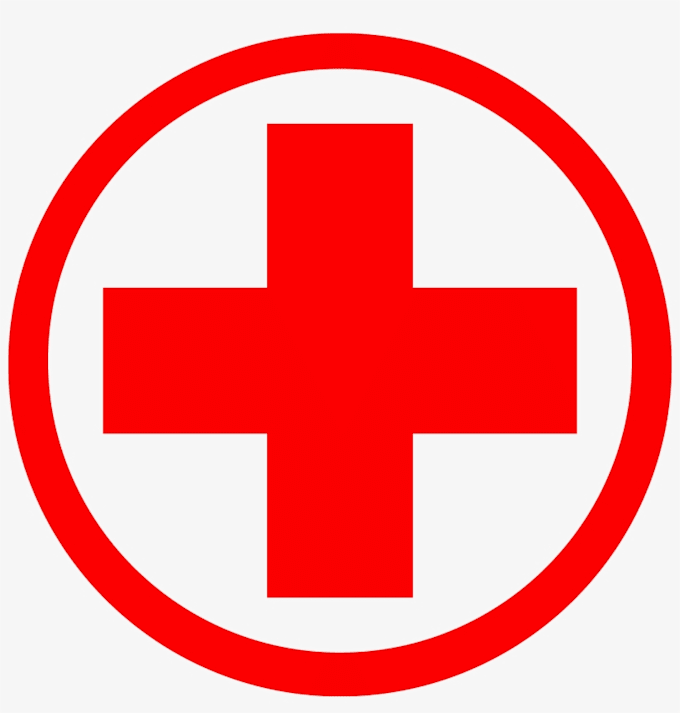 Provide medical device connectivity consultation including hl7 ...