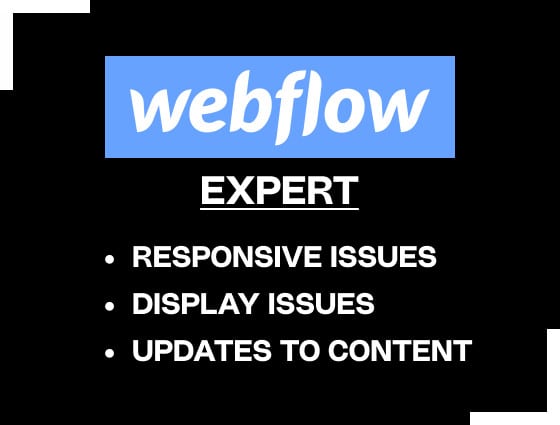 Edit, fix, or update your webflow website by Franzjruggiero | Fiverr