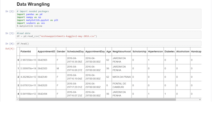Analyse your data professionally using python and excel by N_hegazi ...