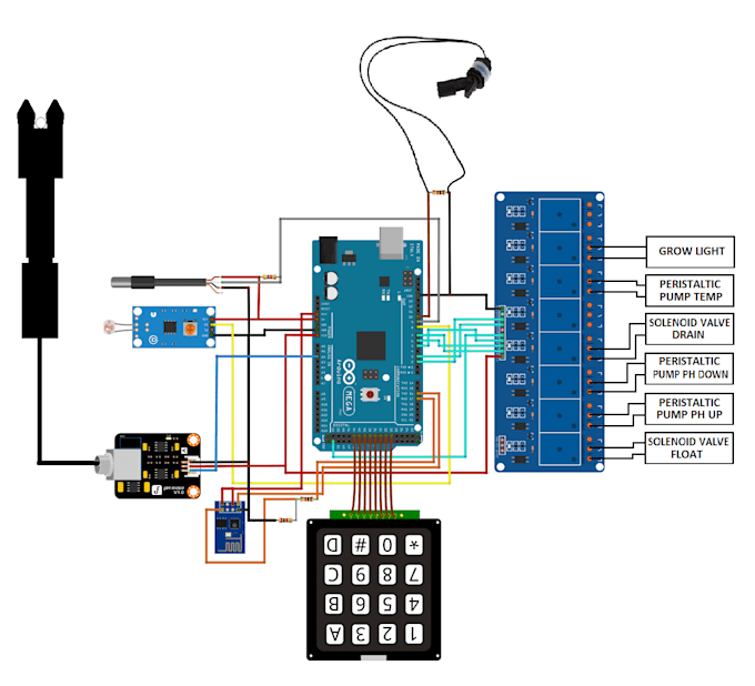 Program your arduino and do your schematics by Dominicoorbillo | Fiverr