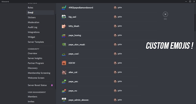 Make you a nice discord server by Gabe_153 | Fiverr
