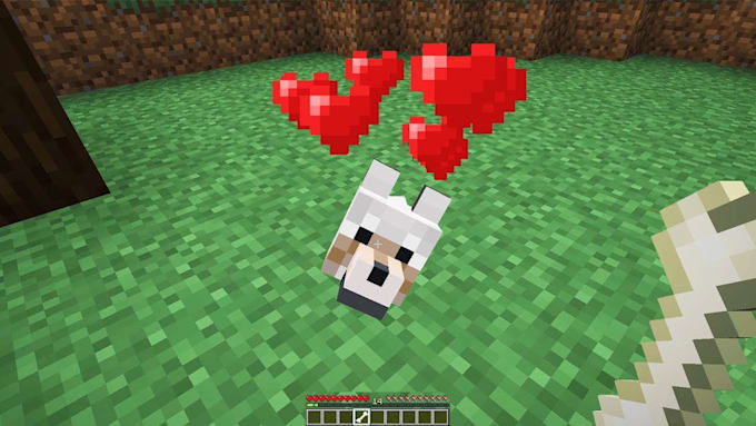 Program you the plugin you always wanted for minecraft by Collinvhuet ...