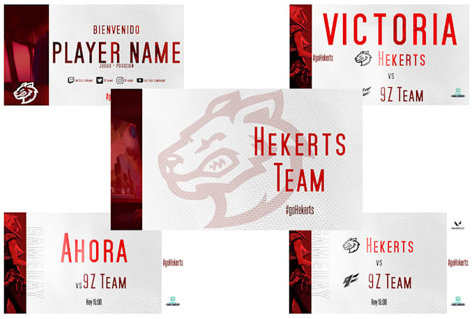 Design graphic pack for your esports team by Tomasacosta09 | Fiverr