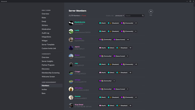 Make you a professional discord server by Sammyizop | Fiverr