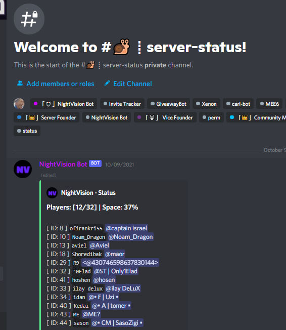 Make a professional discord server and bot by Lidor1212 | Fiverr