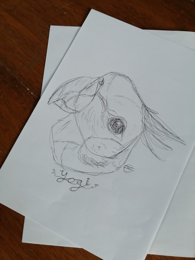Create a pen sketch portrait of your pet by Izzycrazy123 | Fiverr