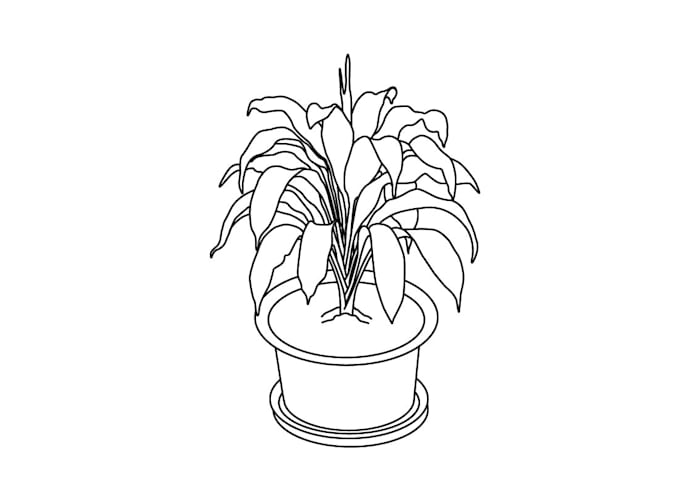 Draw botanical and flower one line art illustration by Sanjida_oishi ...
