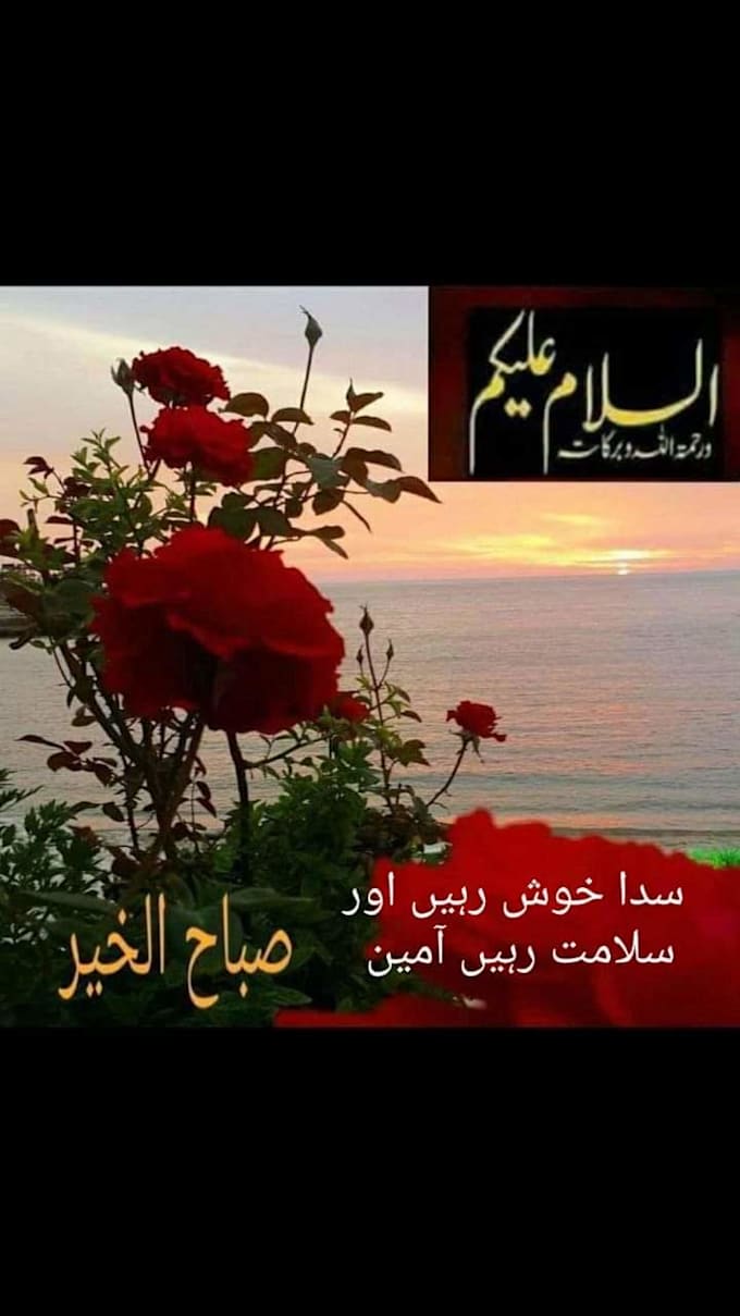 Design a 2d map by Ignassufi | Fiverr