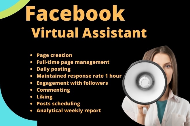 Be your facebook, instagram and social media virtual assistant by ...