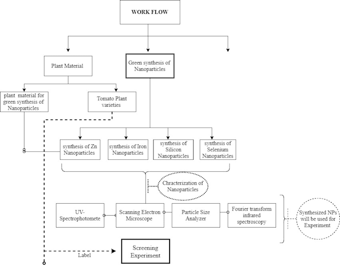 Design a flowchart, infographic, and graphical representation of your ...