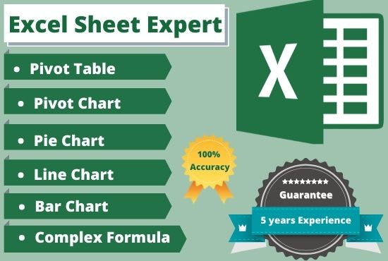 Create excel spreadsheet, pivot tables, pivot charts by Shahid_ali_3 ...