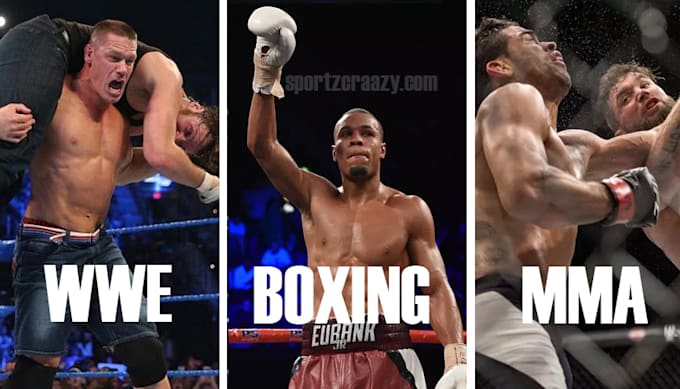 Write boxing, mma, wwe blogs, articles and youtube scripts by ...