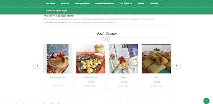 Develop custom website design with html css and bootstrap by Mervekl ...