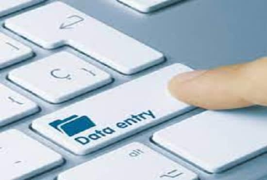 Provide best data entry services in best format by Kalpp6 | Fiverr